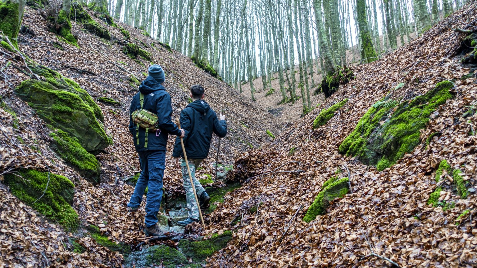 Can Carbon Trekking Poles Break? Durability Facts