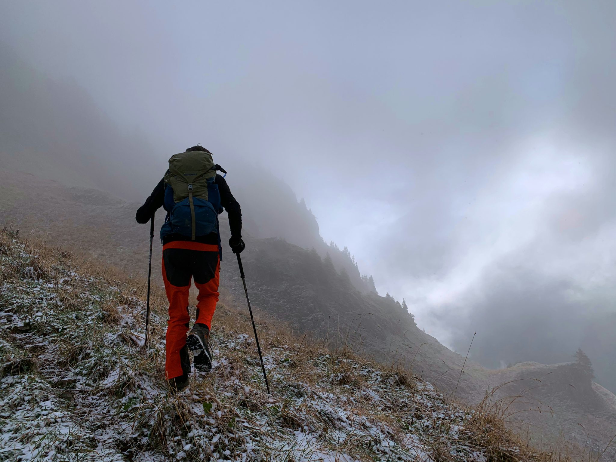 What Length Carbon Trekking Poles Do I Need? Easy Guide