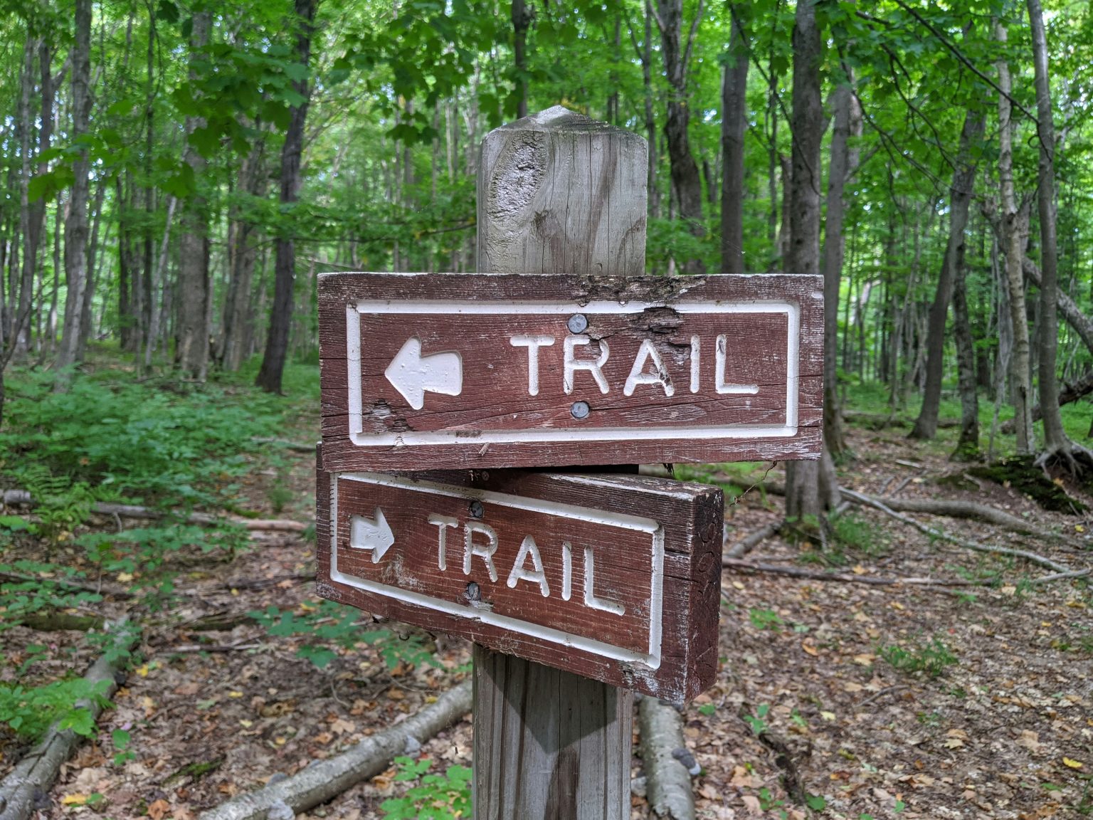 What is 3rd Class Hiking? Trail Difficulty Explained